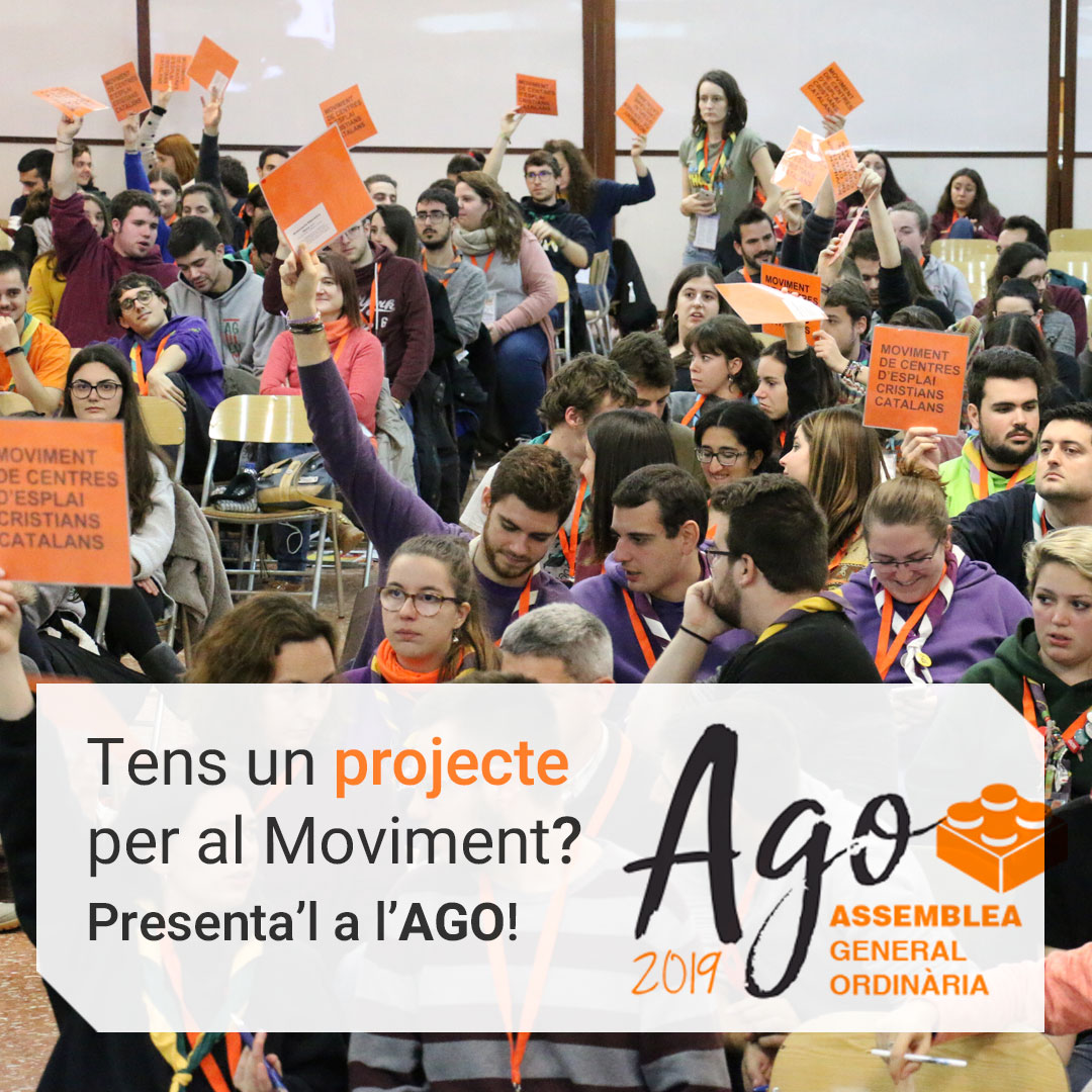 Comencem a preparar l’AGO!